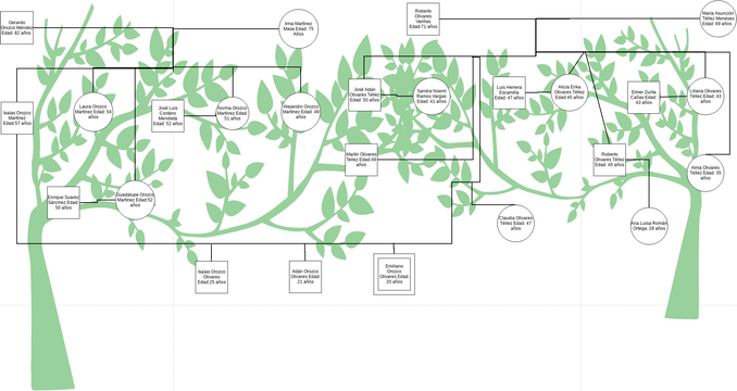 Family Tree | Diagramas / Diseños aportados por usuarios de Visual Paradigm
