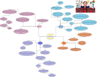 Review of Pedagogical Models