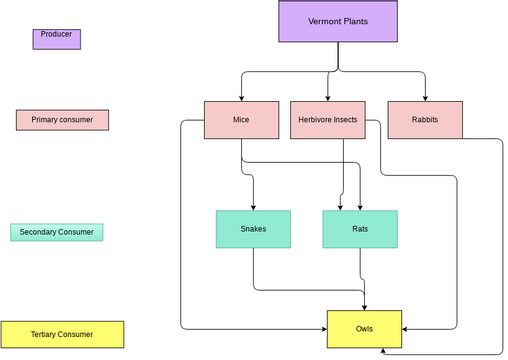 Food Chain Interrelationship Diagram | Visual Paradigm User-Contributed ...